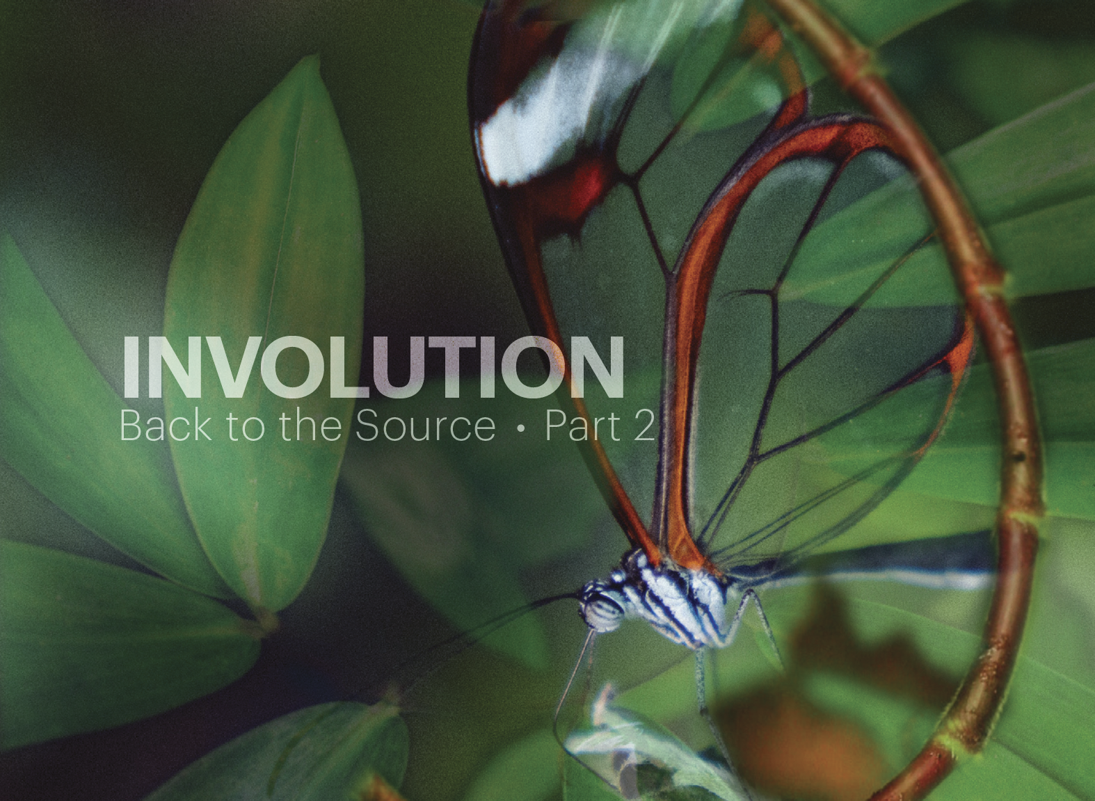 Involution Three Days February 2002 | Barry Long Foundation